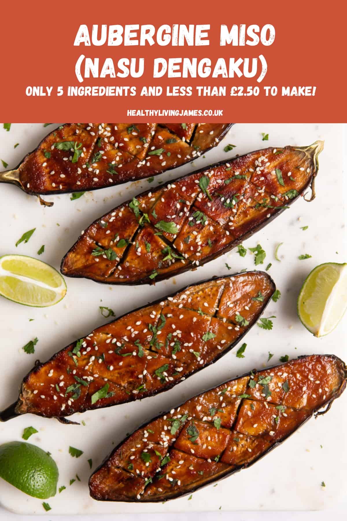 The BEST Aubergine Miso (Nasu Dengaku) - Healthy Living James