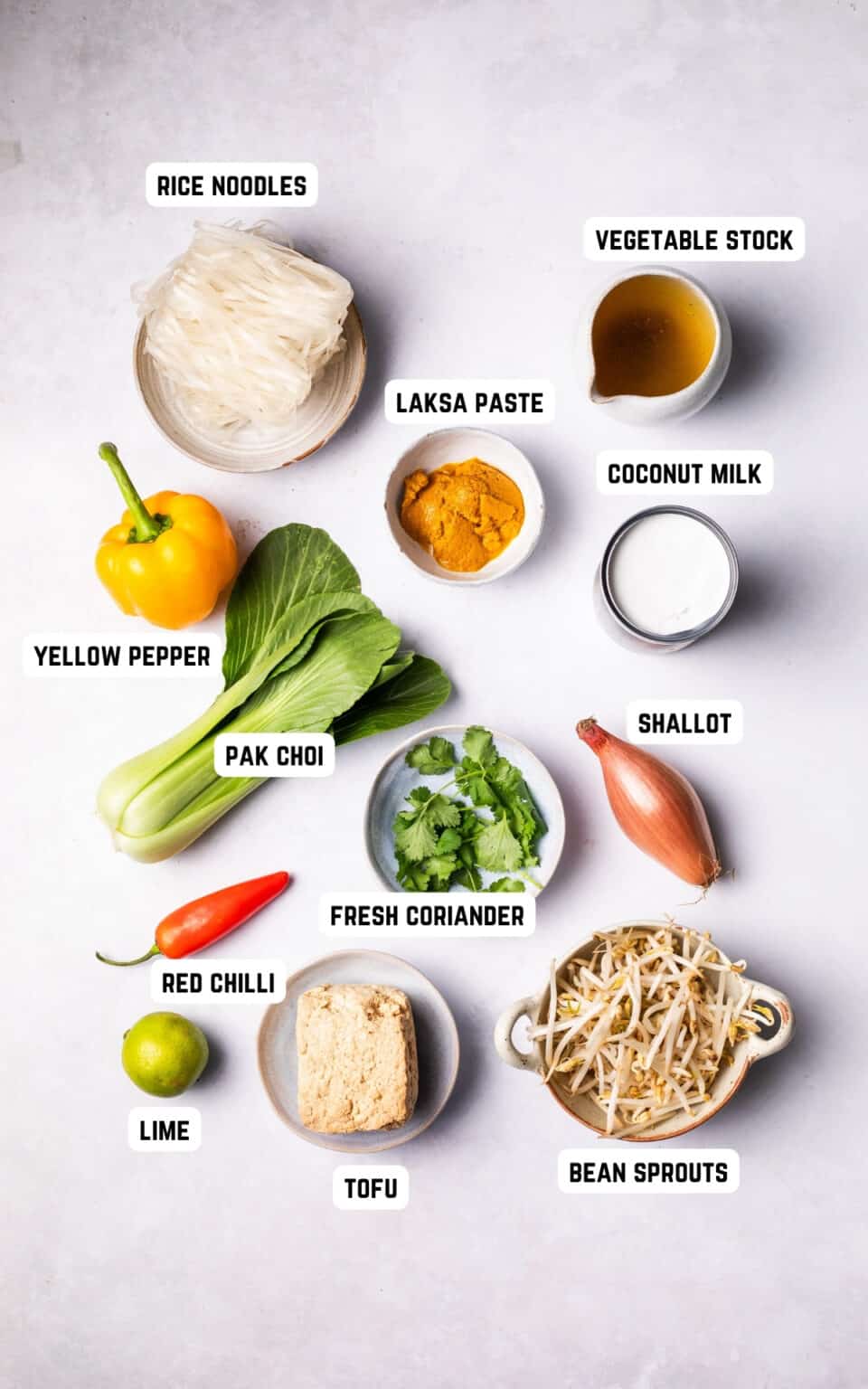 Easy Vegan Laksa - Healthy Living James