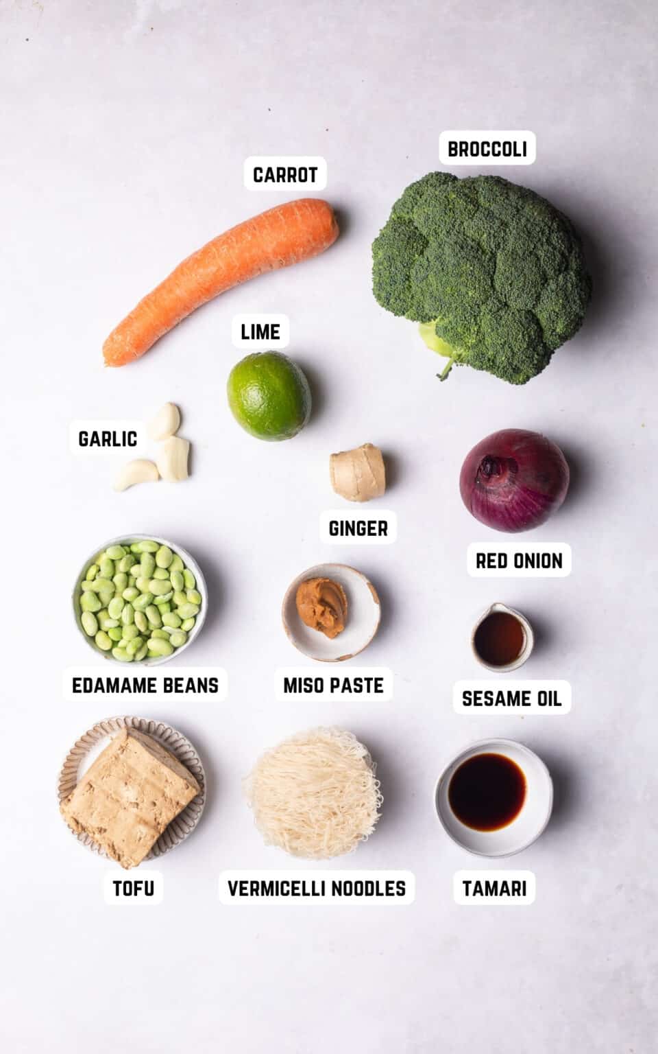 Easy Vermicelli Noodles (in 20 minutes) - Healthy Living James