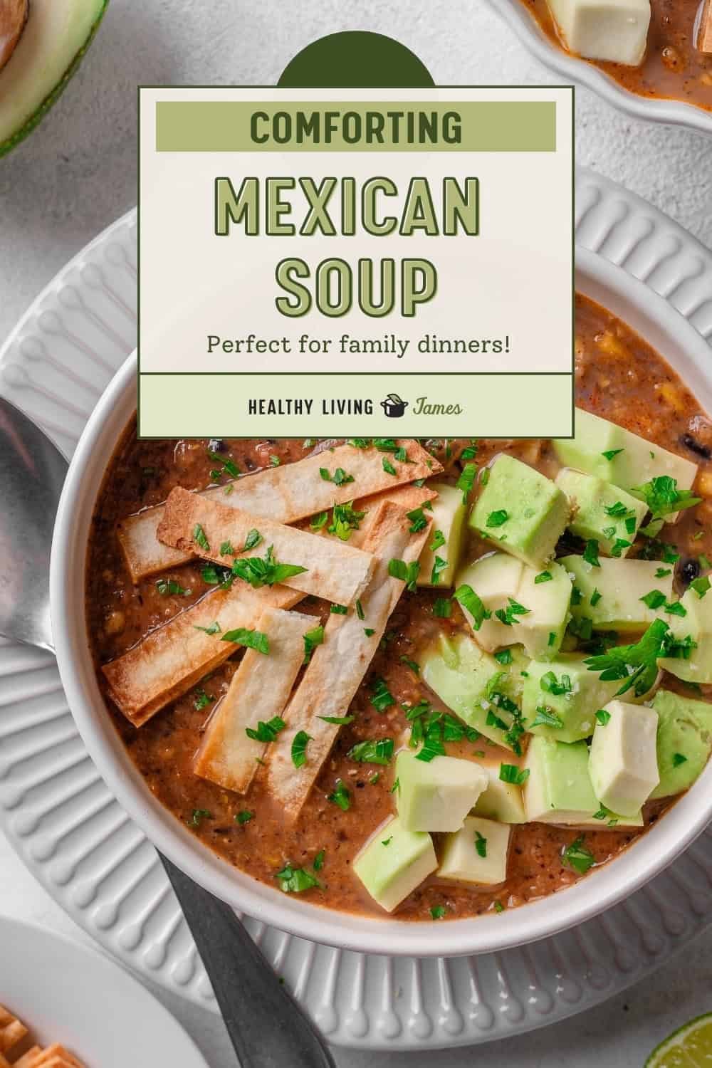 Easy Mexican Soup - Healthy Living James