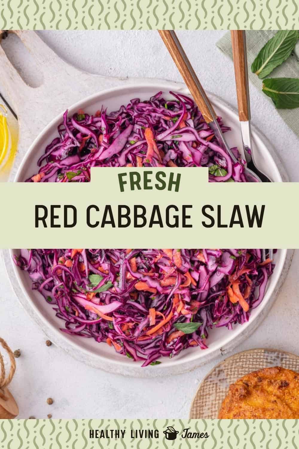Quick Red Cabbage Slaw (no mayo) - Healthy Living James