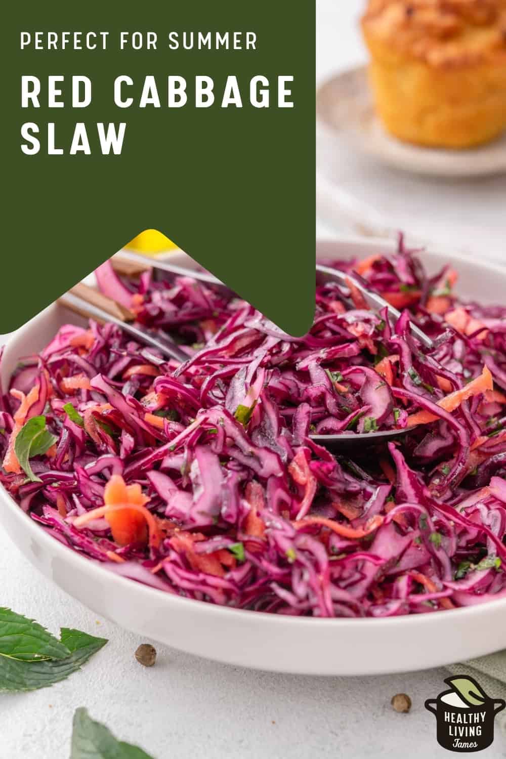Quick Red Cabbage Slaw (no mayo) - Healthy Living James