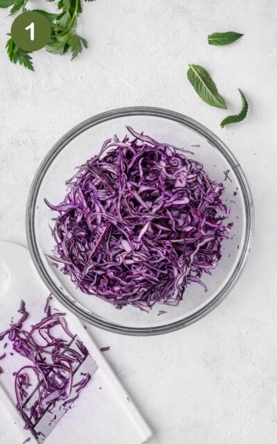 Quick Red Cabbage Slaw (no mayo) - Healthy Living James